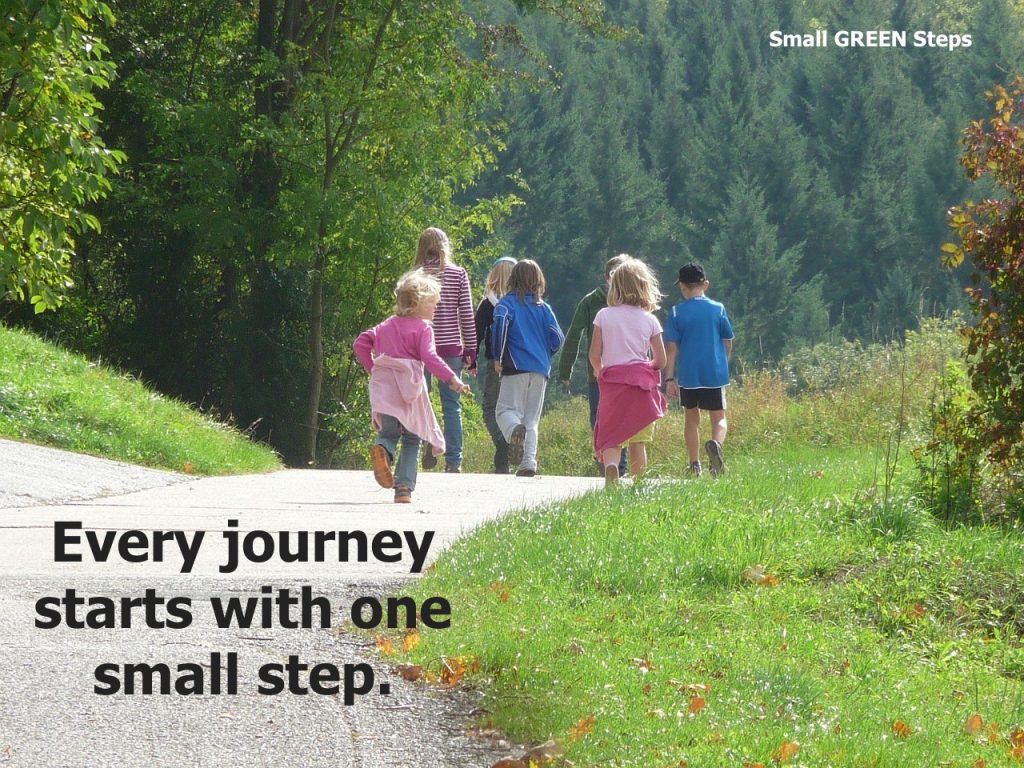 Small Green Steps Collective FDC